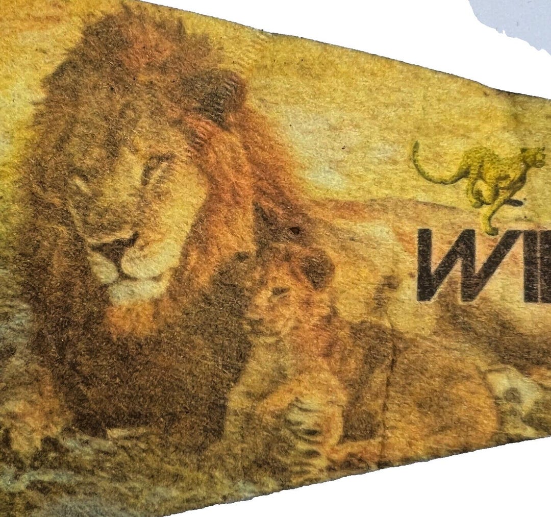 Vintage WILDLIFE SAFARI Winston Oregon Lion Cub Cheetah Felt Pennant 8 ...