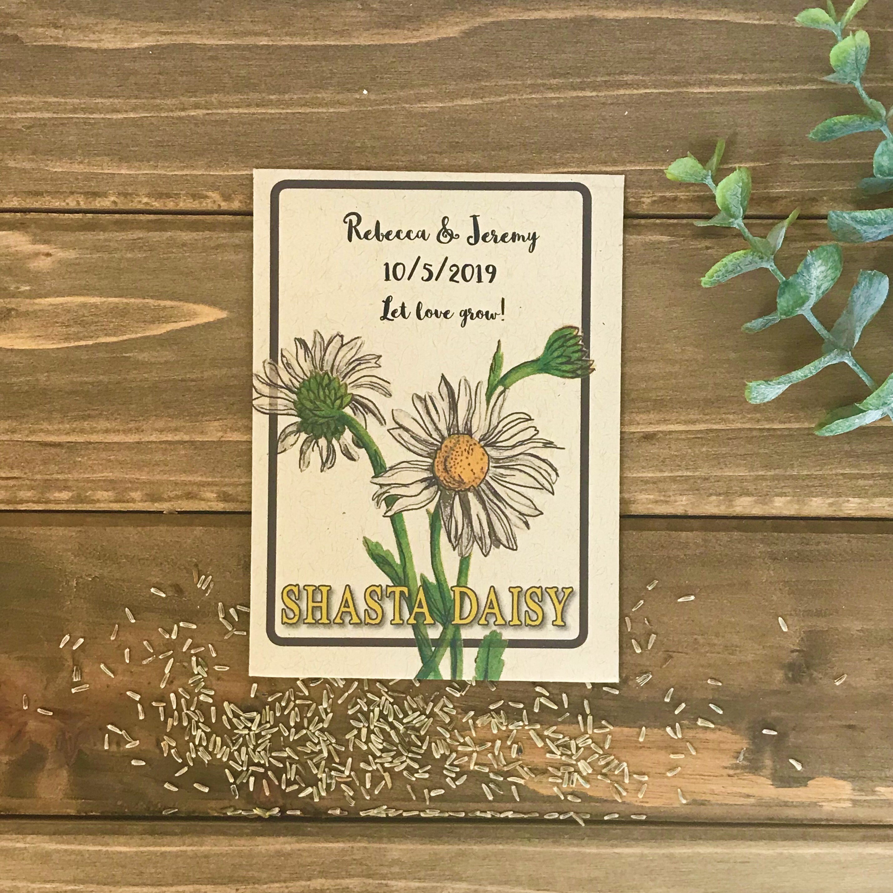 Shasta Daisy Packets for Wedding Favors Personalized Seed | Etsy