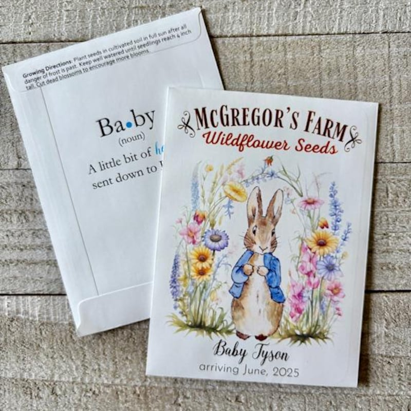Peter Rabbit Games New - Etsy