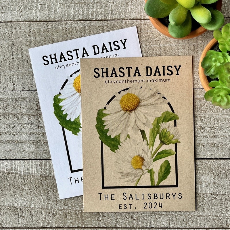 Daisy Bulk Gifts - 60+ Gift Ideas for 2026