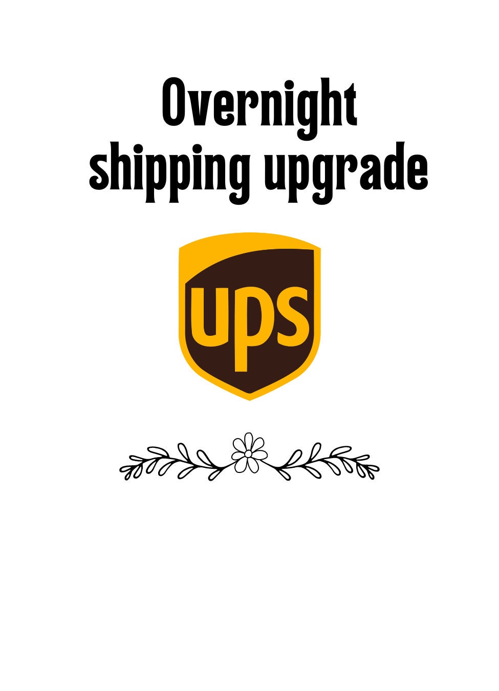 Overnight Shipping Upgrade Etsy