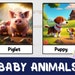 24 Baby Animals Flash Cards Match Baby Animals Instant Download Pdf ...