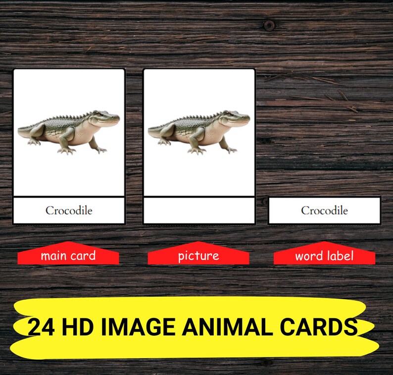 JUNGLE ANIMALS 22 Editable Montessori Cards Flash Cards Nomenclature ...