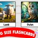 24 Baby Animals Flash Cards Match Baby Animals Instant Download Pdf ...