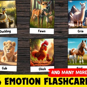 24 Baby Animals Flash Cards Match Baby Animals Instant Download Pdf ...