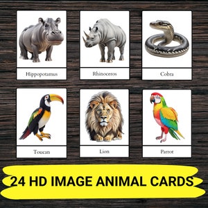 JUNGLE ANIMALS 22 Editable Montessori Cards Flash Cards Nomenclature ...