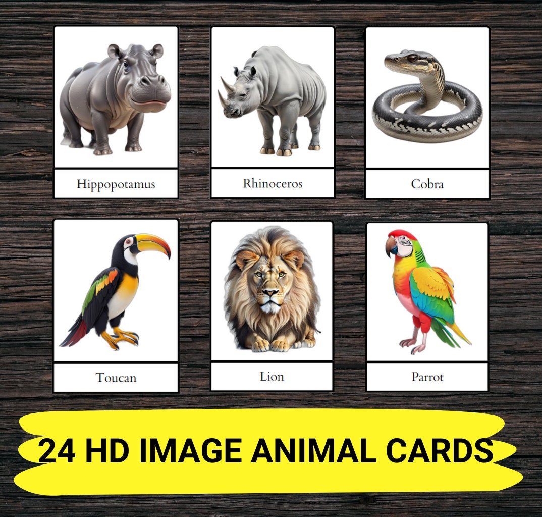JUNGLE ANIMALS 22 Editable Montessori Cards Flash Cards Nomenclature ...