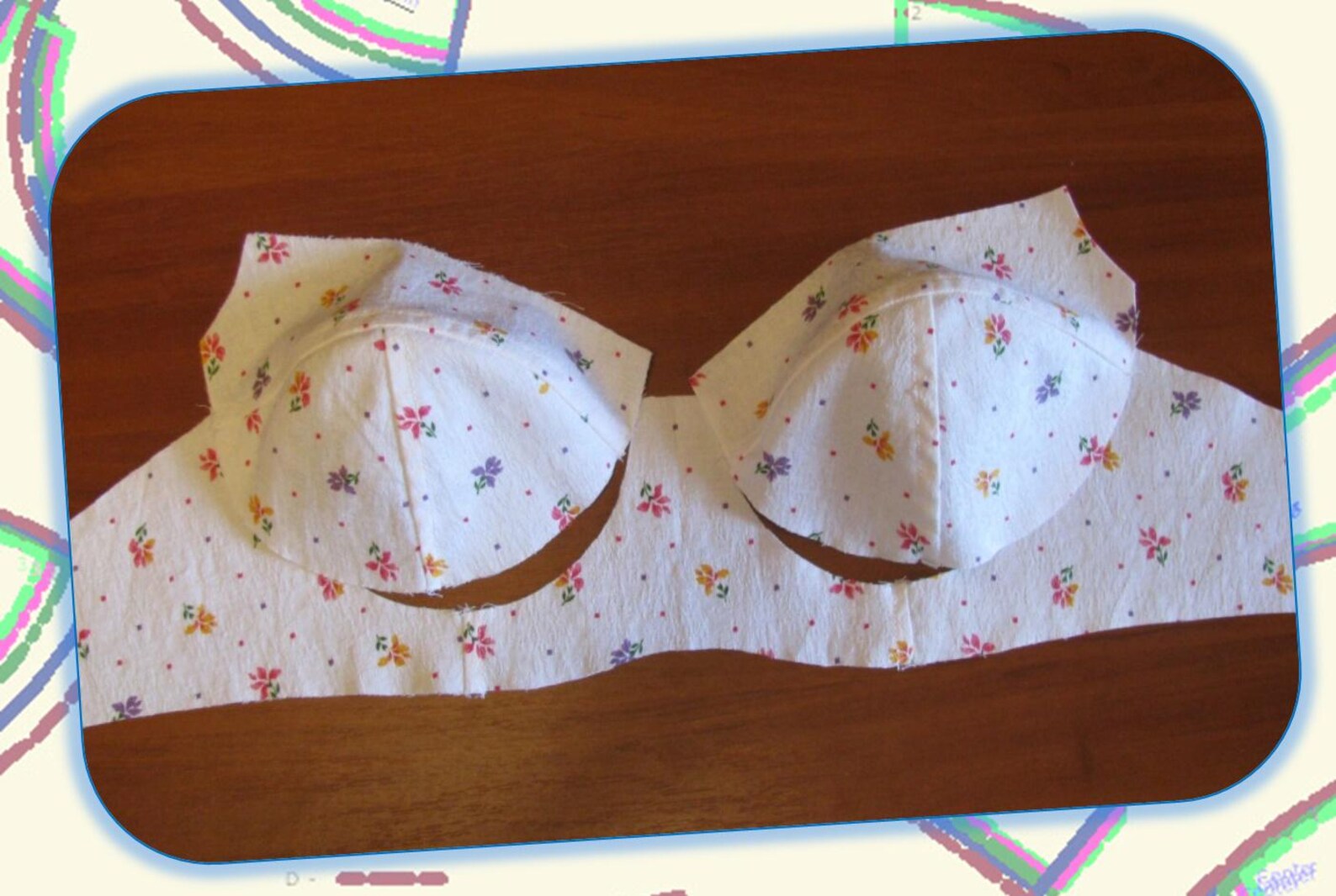 Eve Bra Sewing Pattern, Size D, With Instructions (PDF Pattern) - Etsy