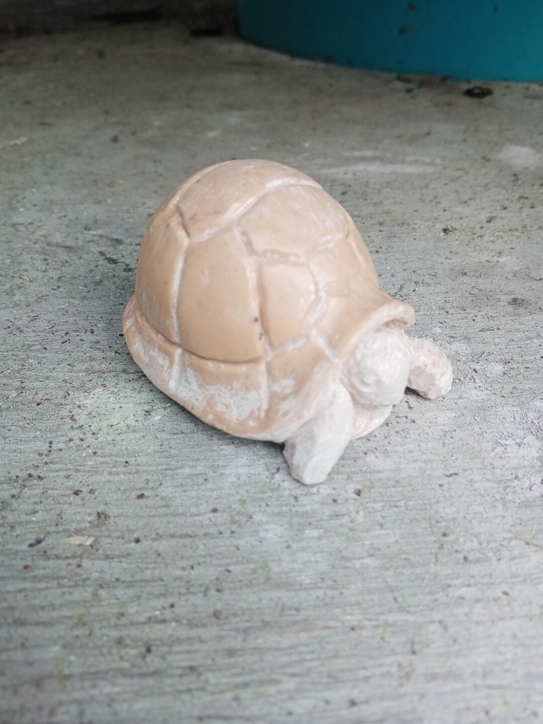 Turtle in Marble - Etsy