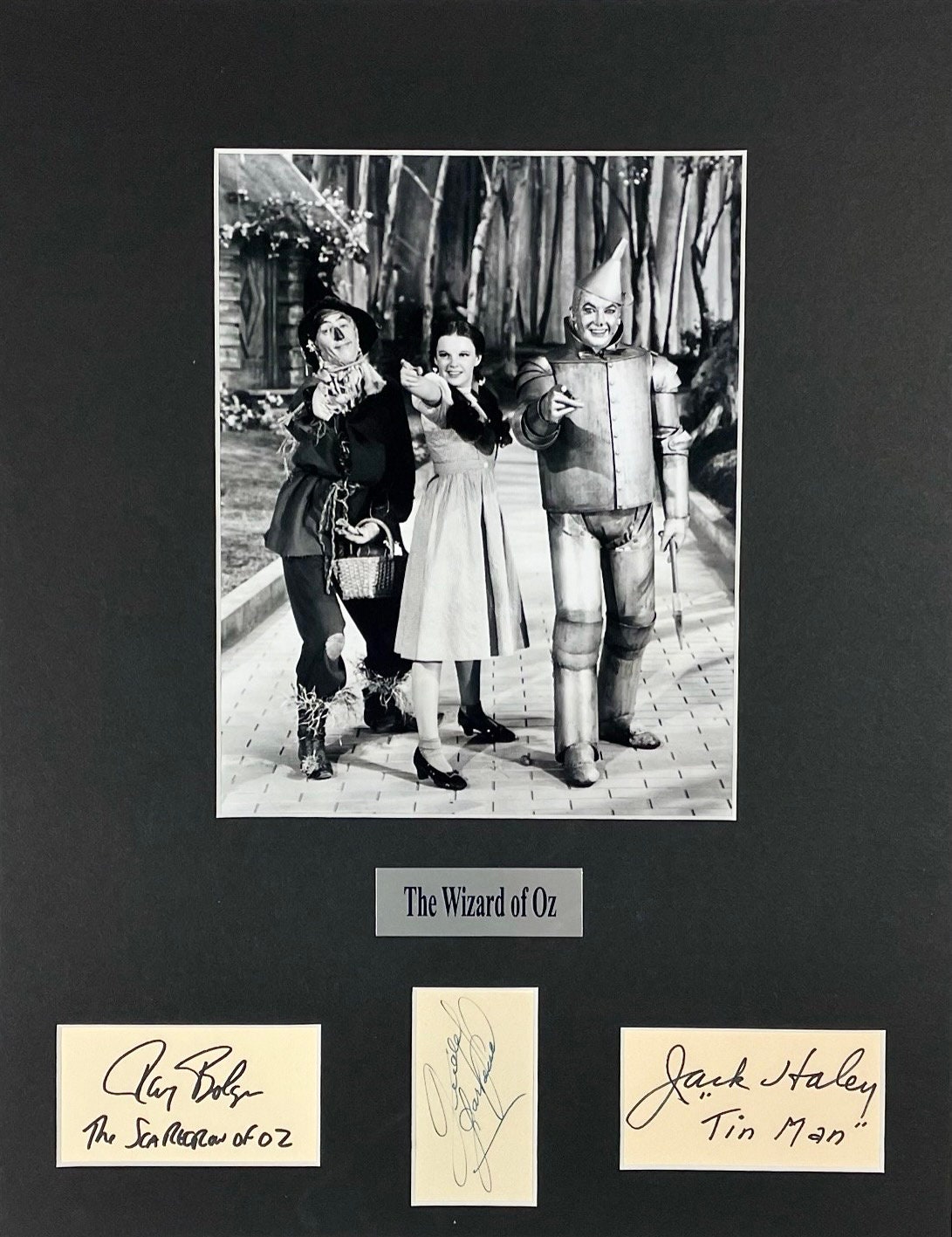 LARGE Vintage the Wizard of Oz Autograph Autographed Signed Display Art ...