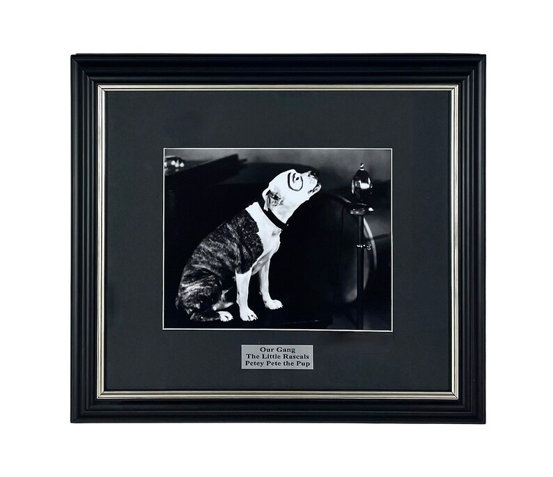 LARGE FRAMED Vintage Our Gang Pete the Pup Petey the Little Rascals ...