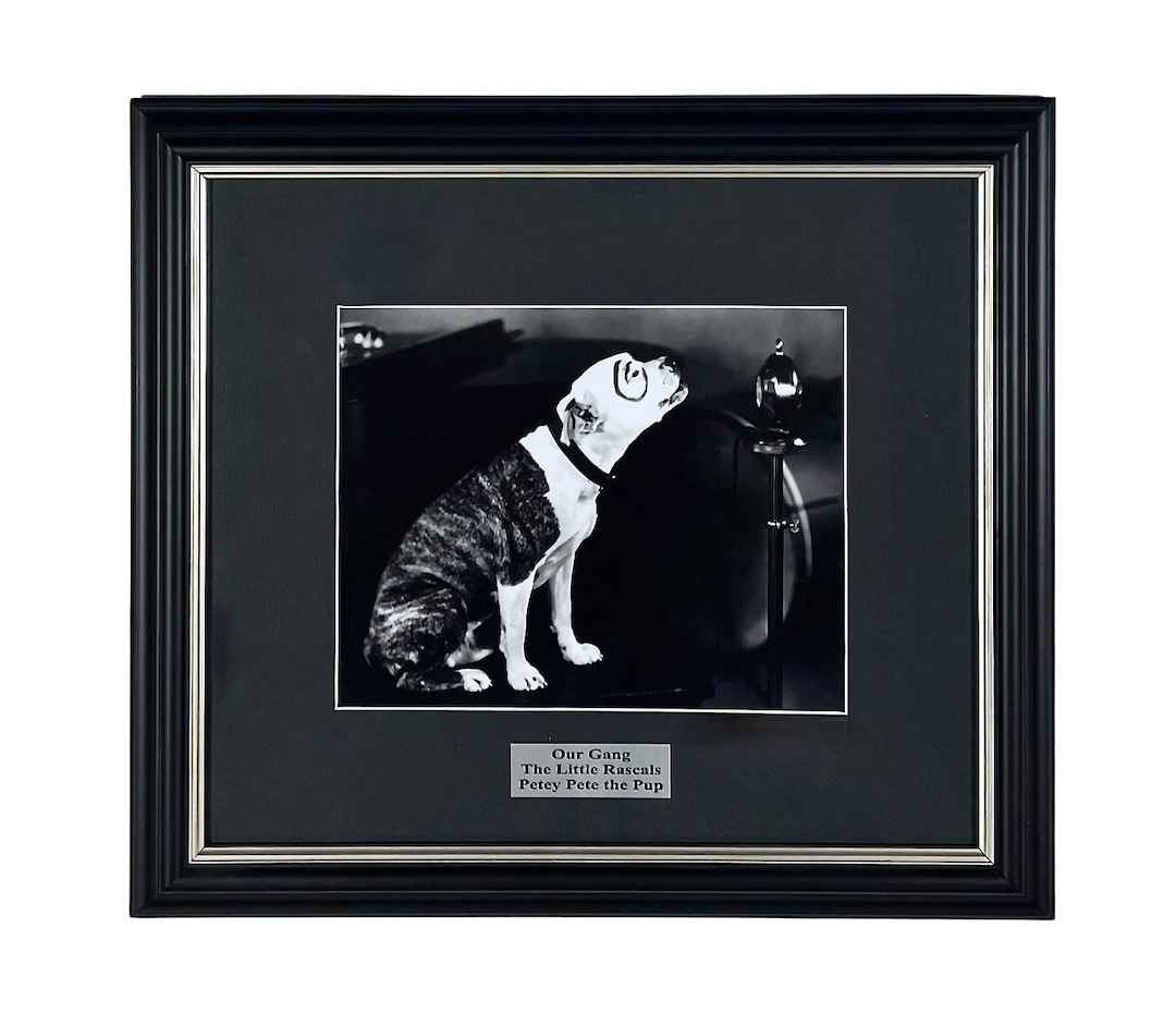 LARGE FRAMED Vintage Our Gang Pete the Pup Petey the Little Rascals ...