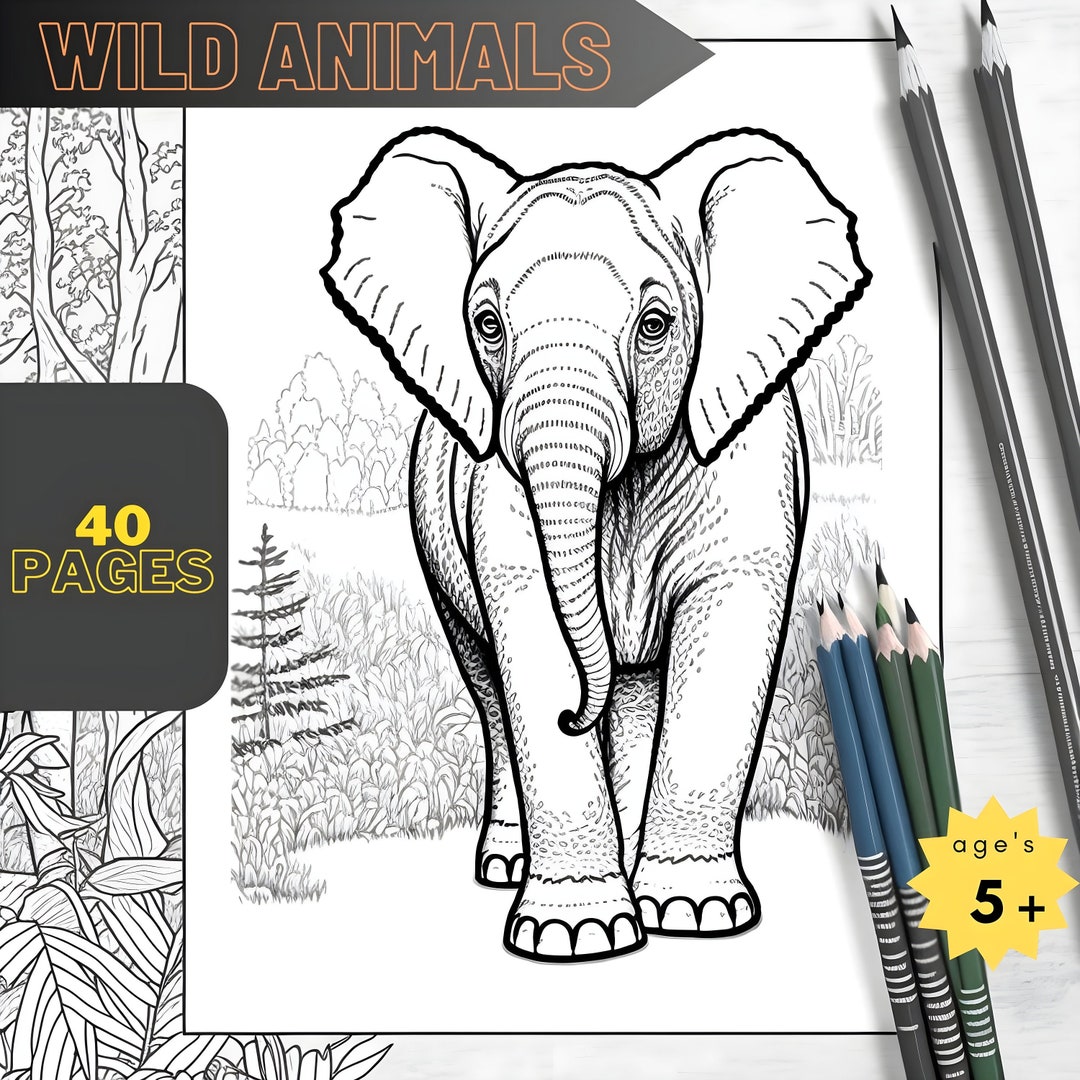 Wild Animals Colouring Book - Etsy
