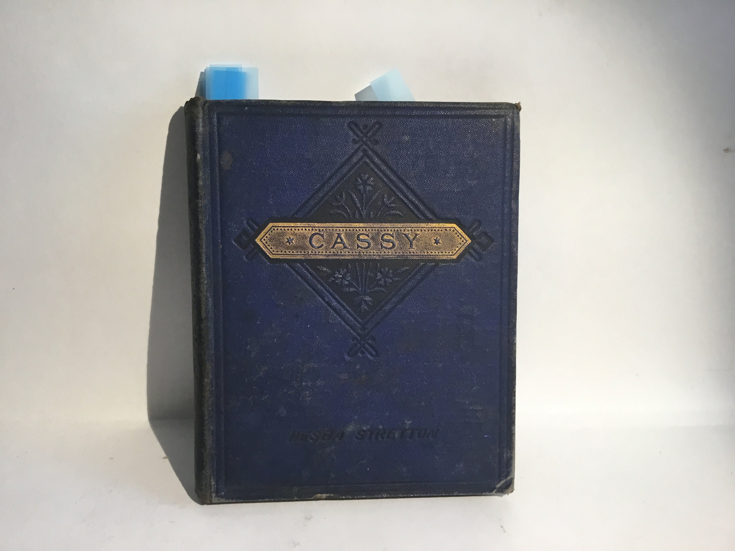 Cassy Name