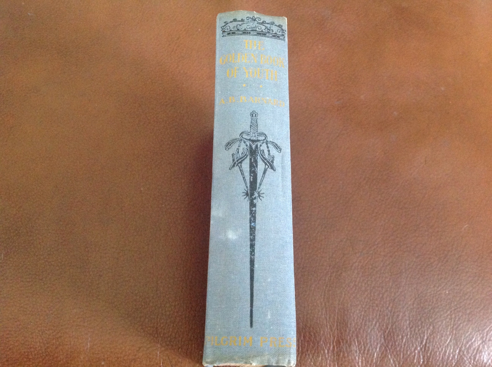The Golden Book of Youth Noble Deeds of Boys and Girls by AMY B.barnard ...