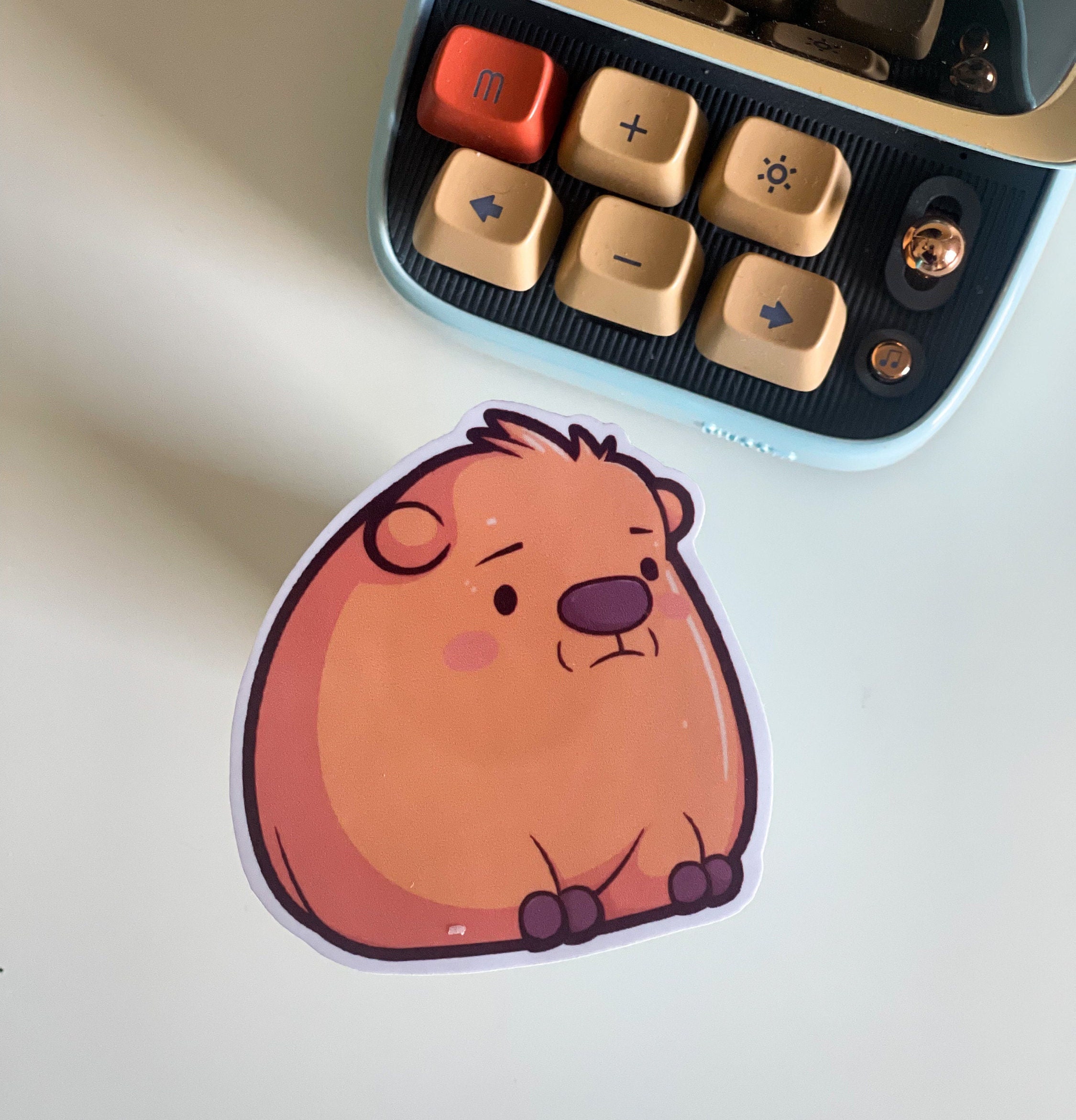 Cute Capybara Sticker Glossy Sticker Scratchproof/ Weatherproof Sad ...