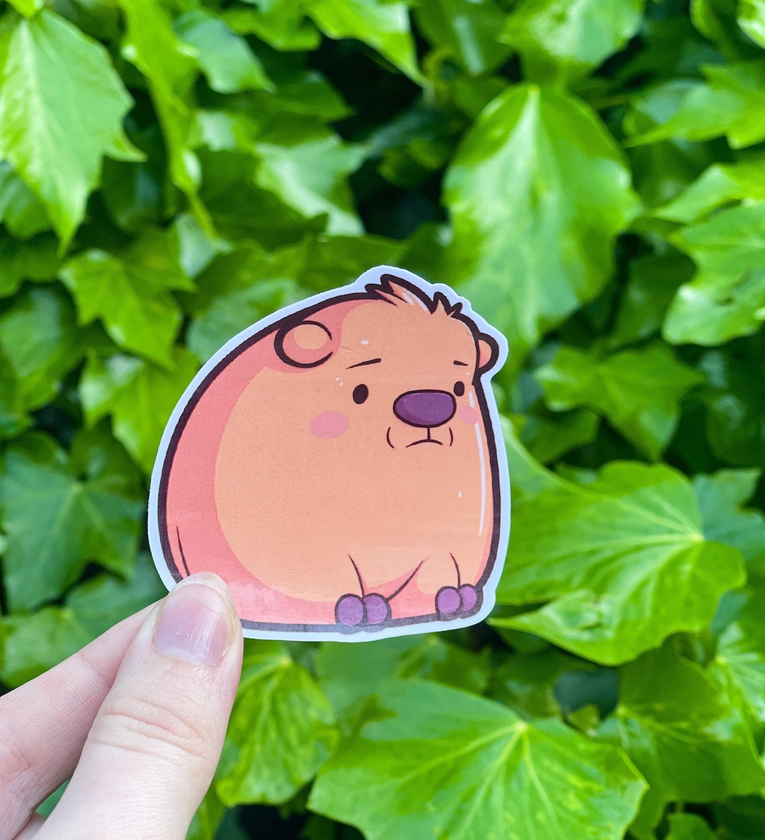 Cute Capybara Sticker Glossy Sticker Scratchproof/ Weatherproof Sad ...