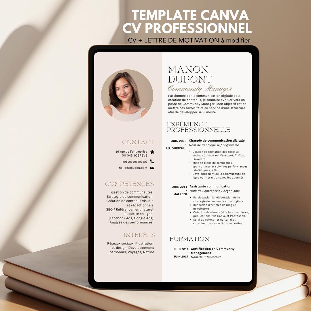 French CV + Application Guide / Cv Template Canva / Cv Canva / CV and ...
