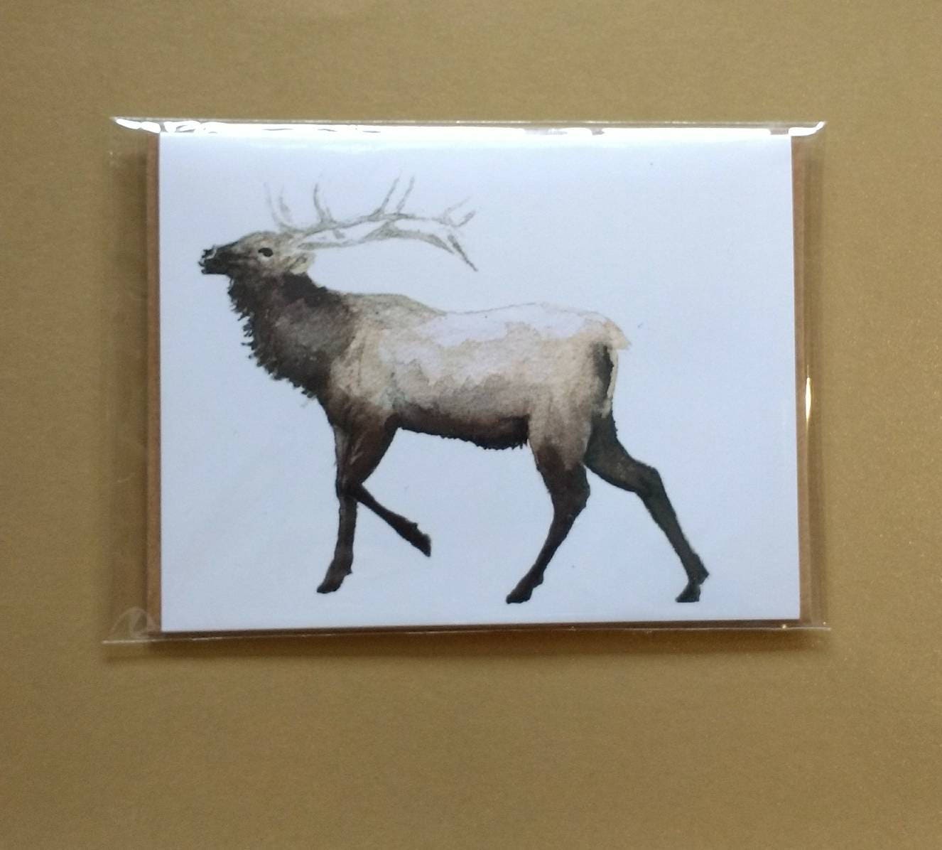 Elk 5 Piece American Woodland Greeting Card/note Card Set - Etsy