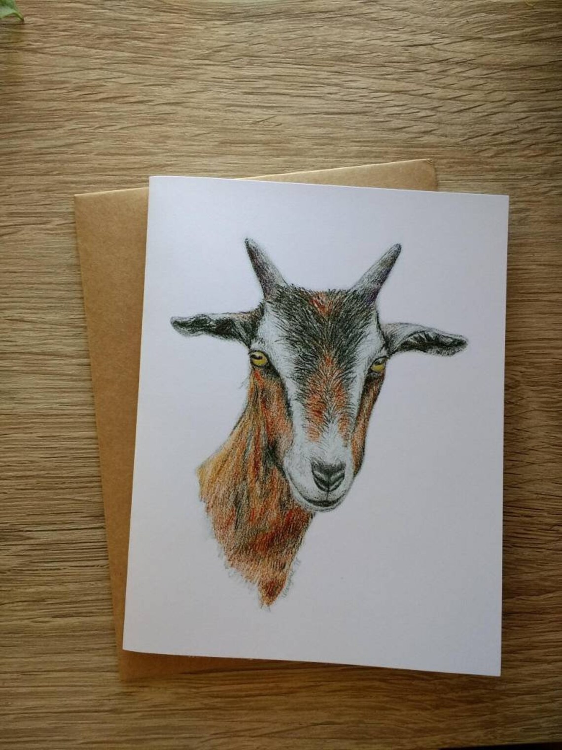 Colored Pencil Goat Greeting Card Set of 5 - Etsy