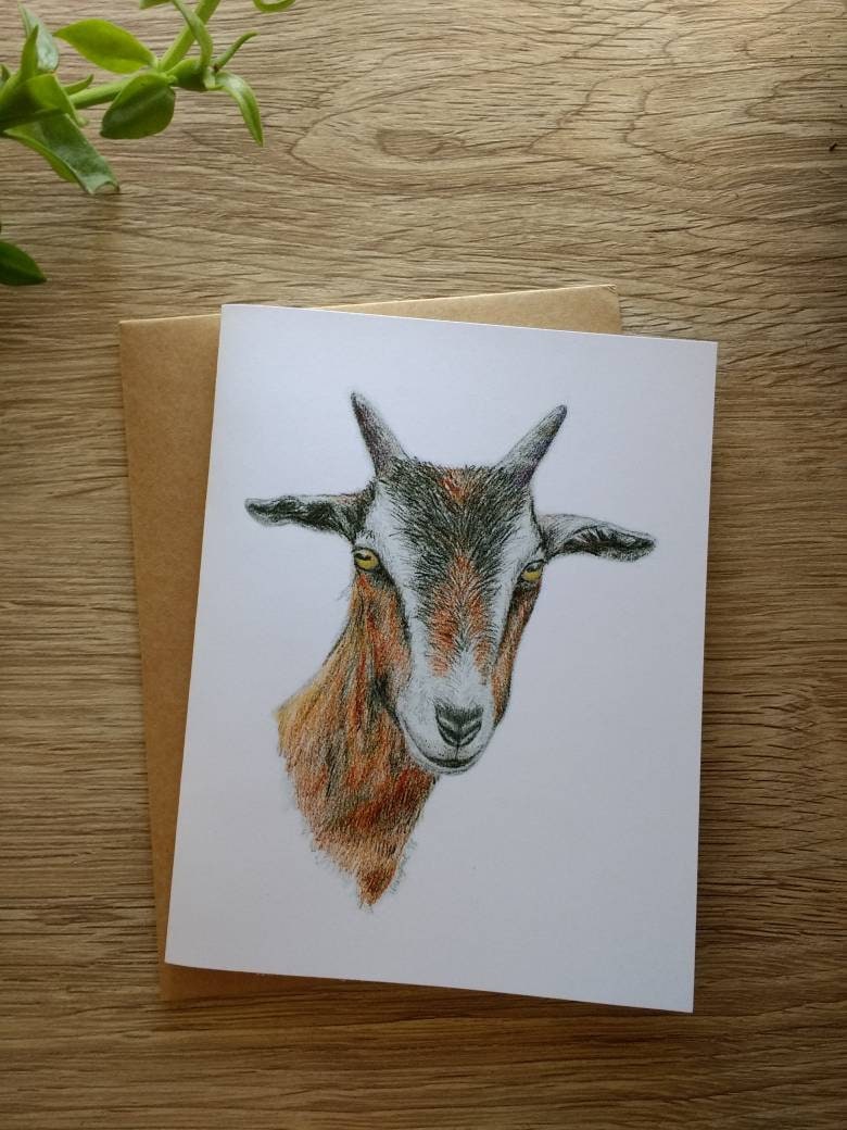 Goat Greeting Card Note Card Colored Pencil - Etsy