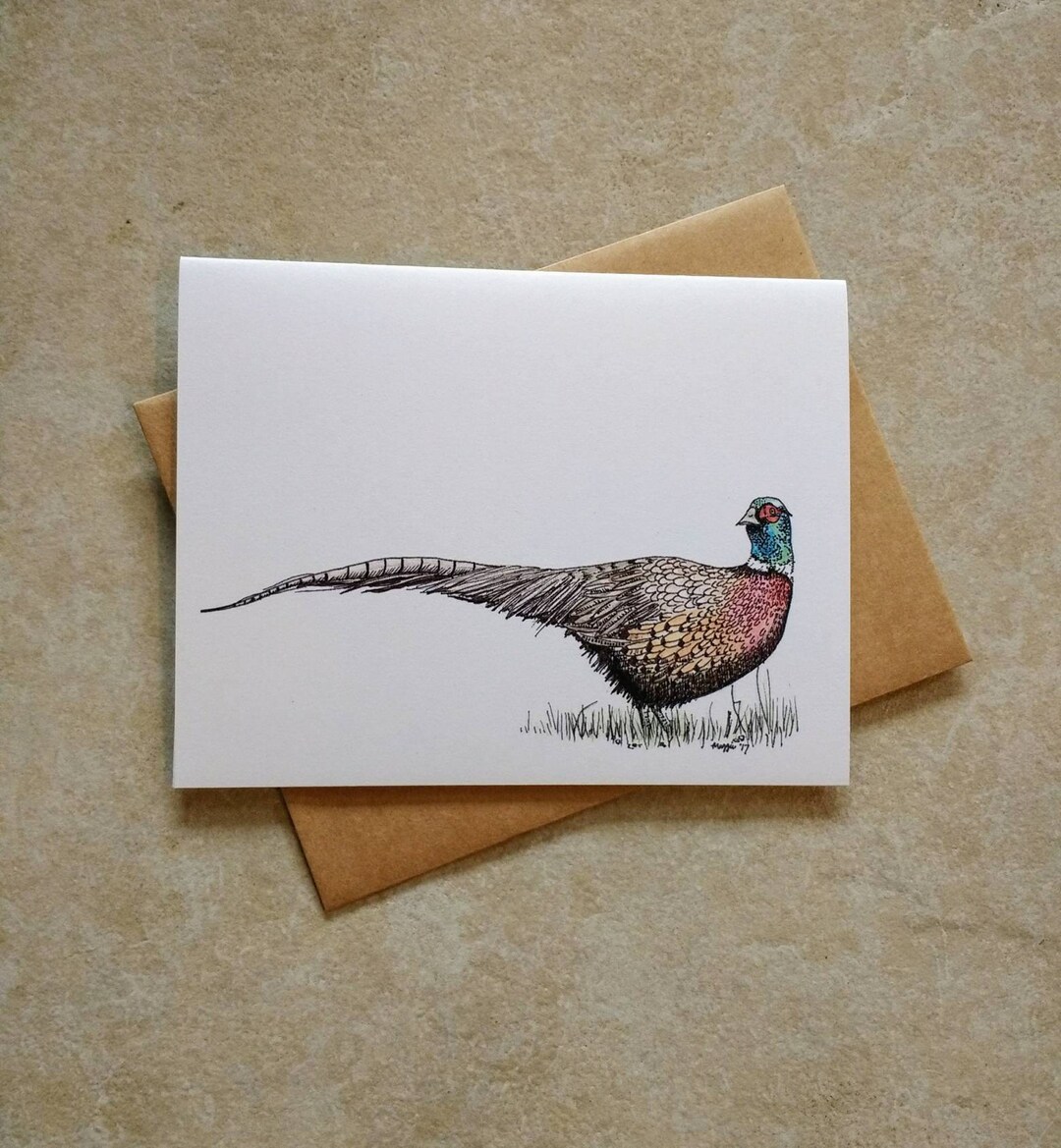 Pheasant American Woodland Greeting Card/note Card - Etsy