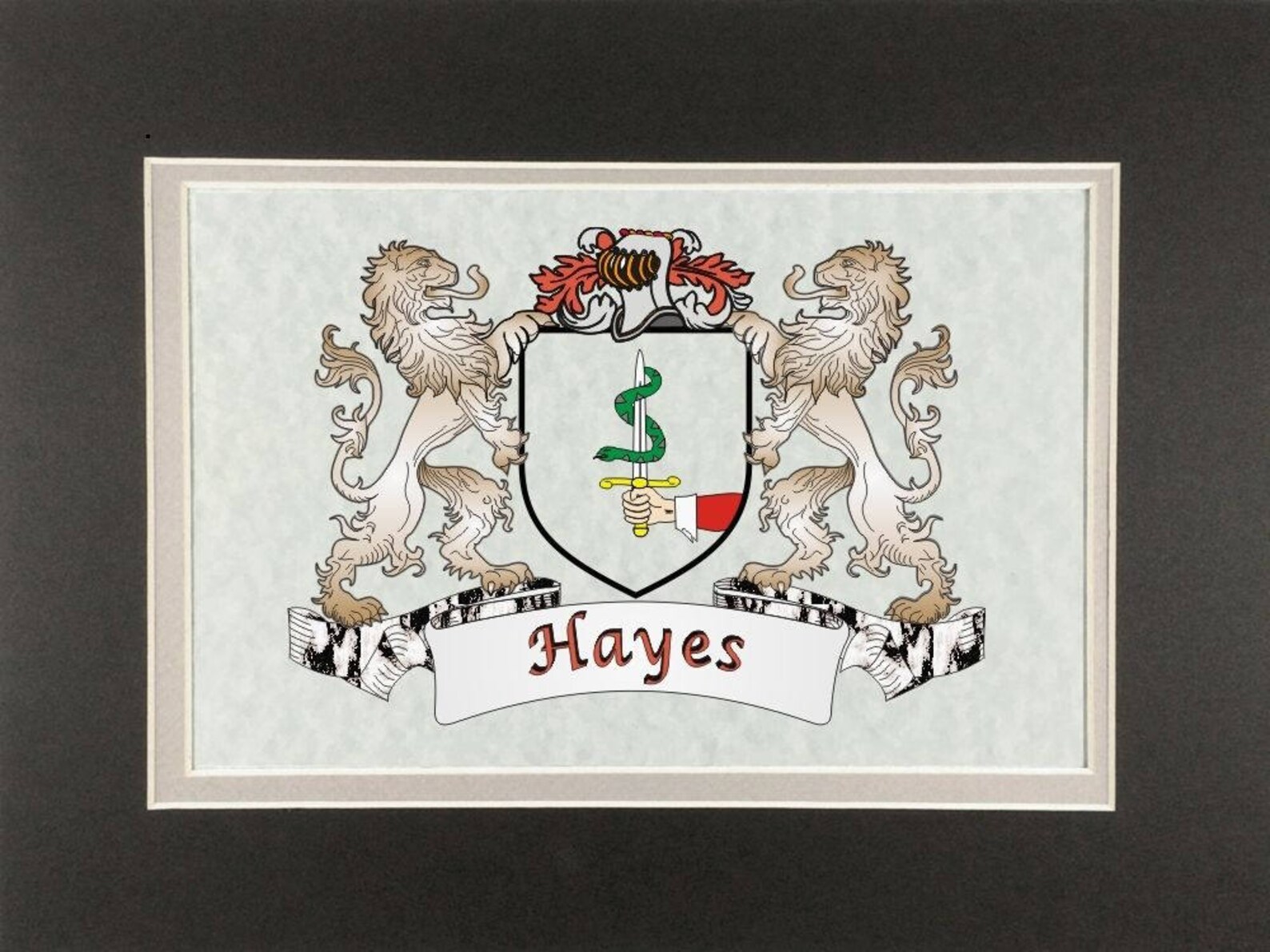 Hayes Irish Coat of Arms Print Frameable 9 x 12 | Etsy