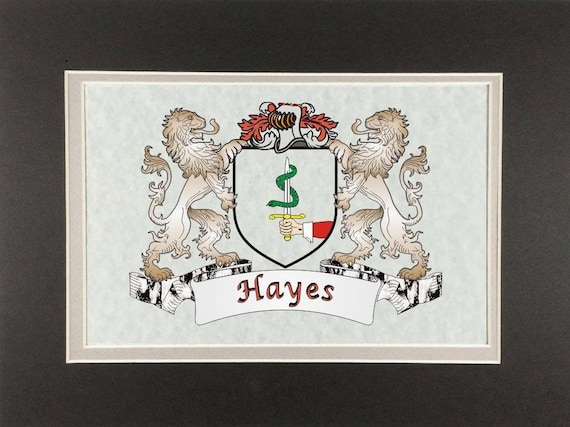 Hayes Irish Coat of Arms Print Frameable 9 x 12 | Etsy