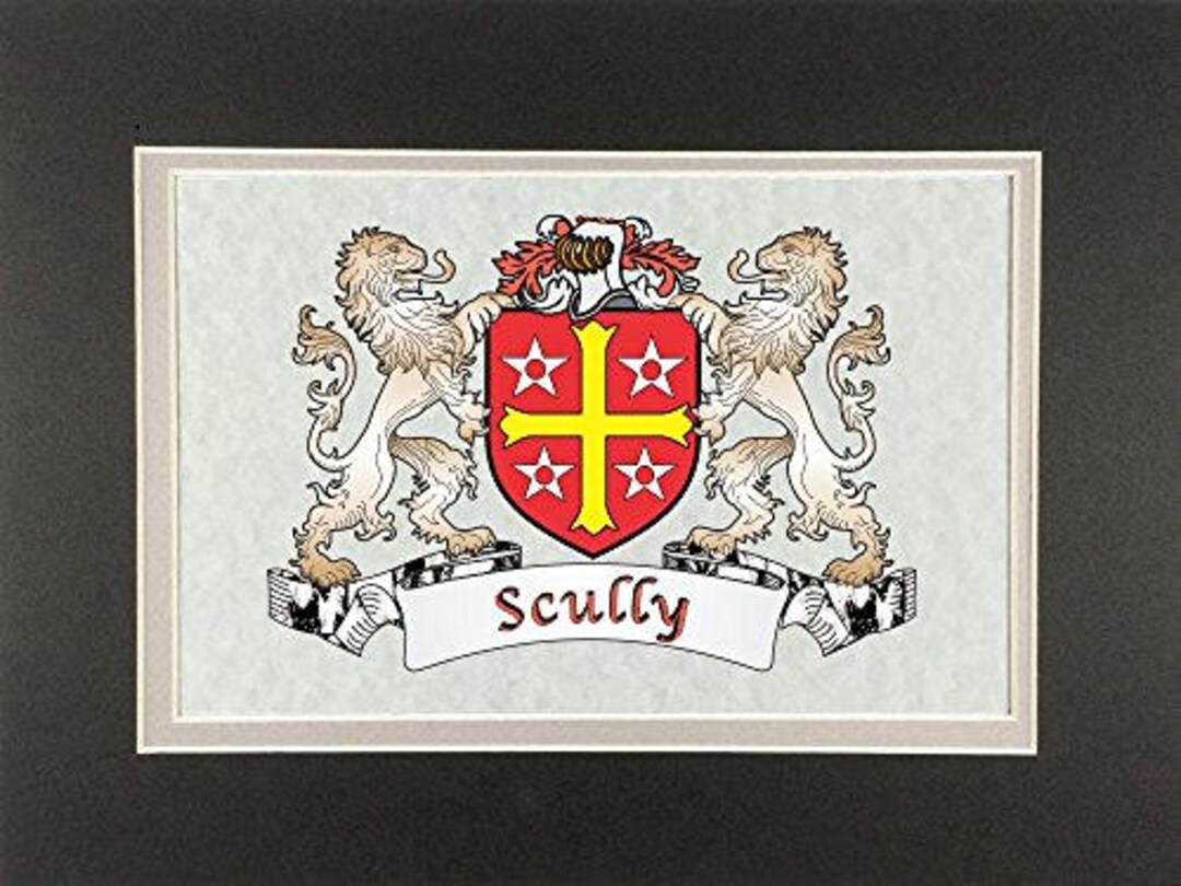 Scully Irish Coat of Arms Print - Frameable 9" X 12" - Etsy