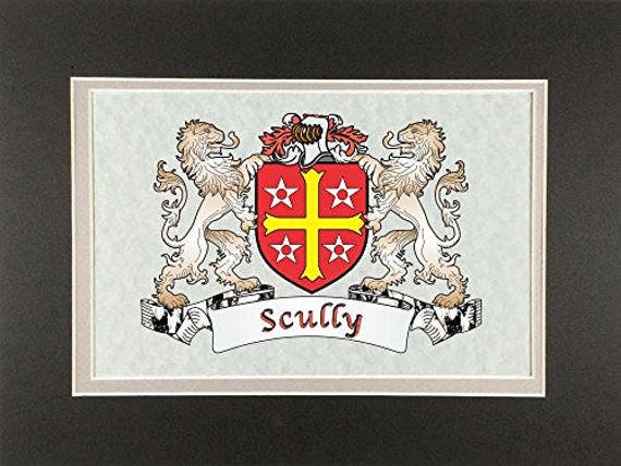 Scully Irish Coat of Arms Print Frameable 9 x 12 | Etsy