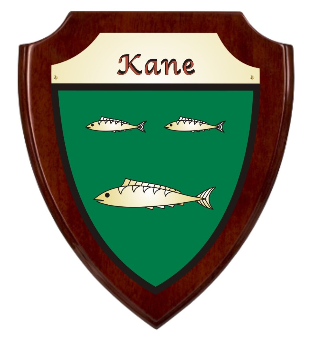 Placa del escudo del escudo de armas irlandés de Kane - Etsy España