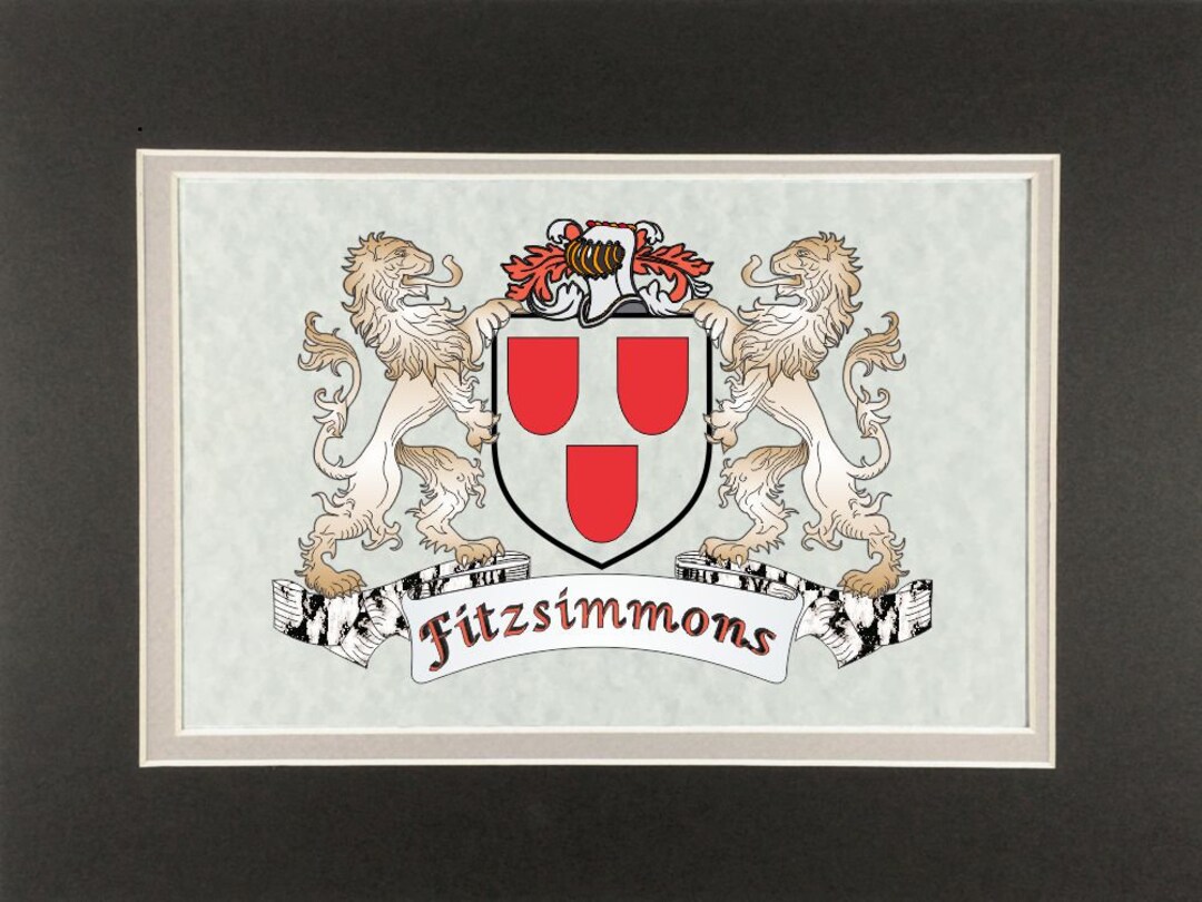 Fitzsimmons Irish Coat of Arms Print Frameable 9 X 12 - Etsy UK