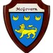 Mcgrath Irish Coat of Arms Shield Plaque Rosewood Finish - Etsy