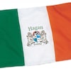 Hanlon Irish Coat of Arms Heavy Duty Outdoor Ireland Flag 3 Sizes - Etsy