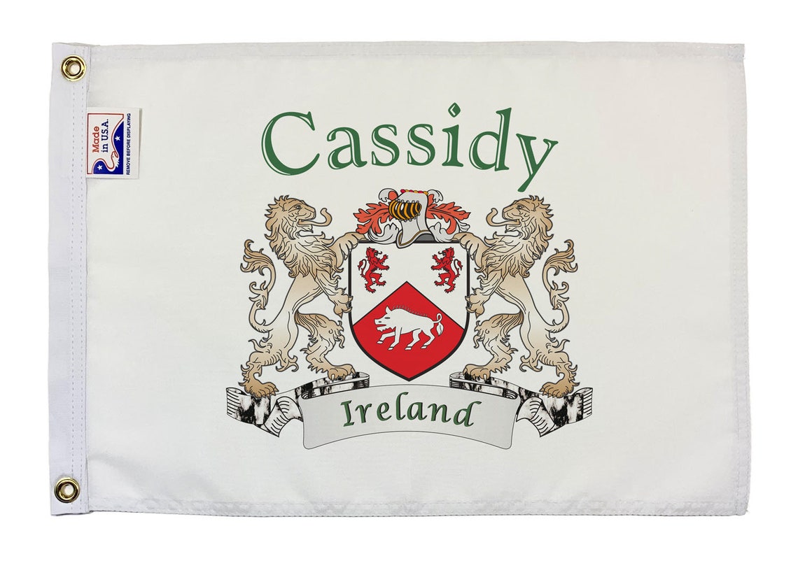 Cassidy Irish Coat of Arms Small White Flag | Etsy