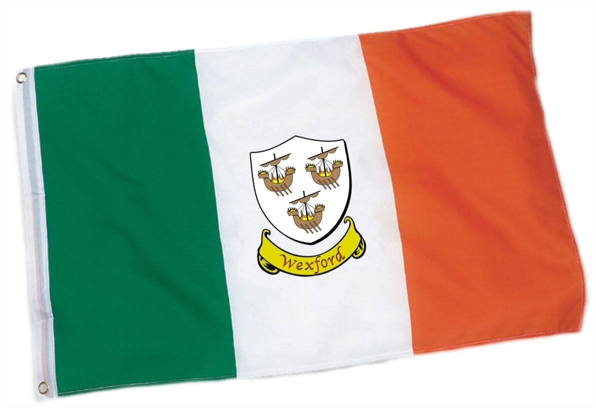 Wexford County Coat of Arms Ireland Flag 3'x5' foot | Etsy