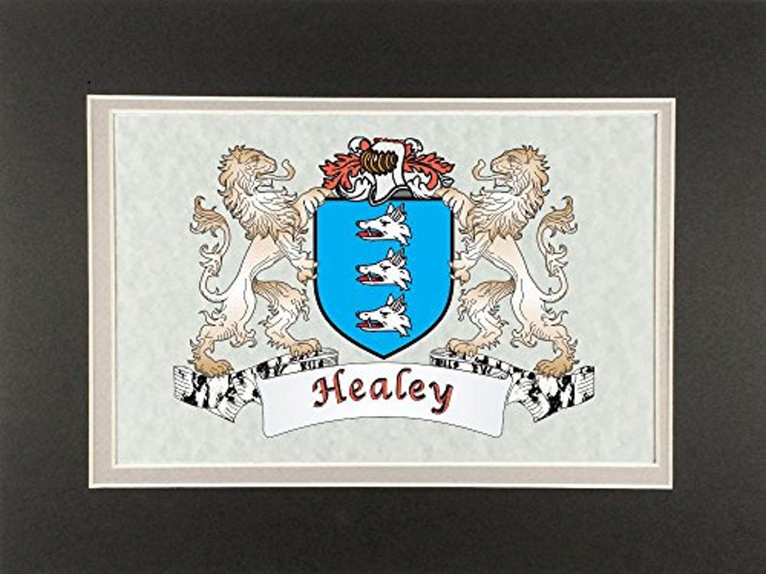 Healey Irish Coat of Arms Print - Frameable 9" X 12" - Etsy