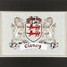Clancy Irish Coat of Arms Print Frameable 9 X 12 - Etsy
