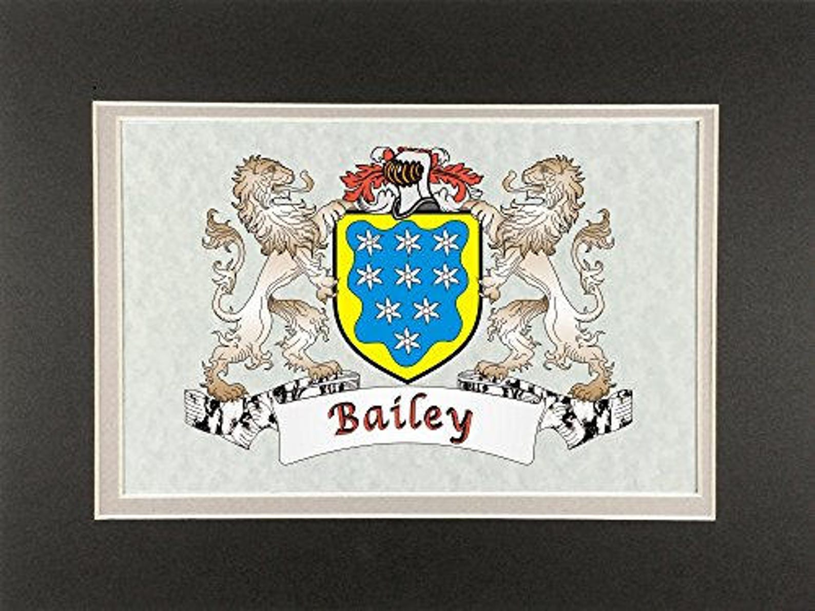 Bailey Irish Coat of Arms Print Frameable 9 x 12 | Etsy