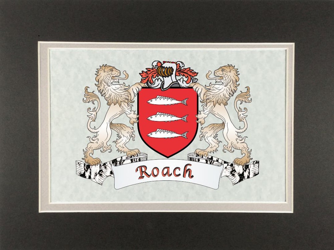 Roach Irish Coat of Arms Print Frameable 9 X 12 - Etsy