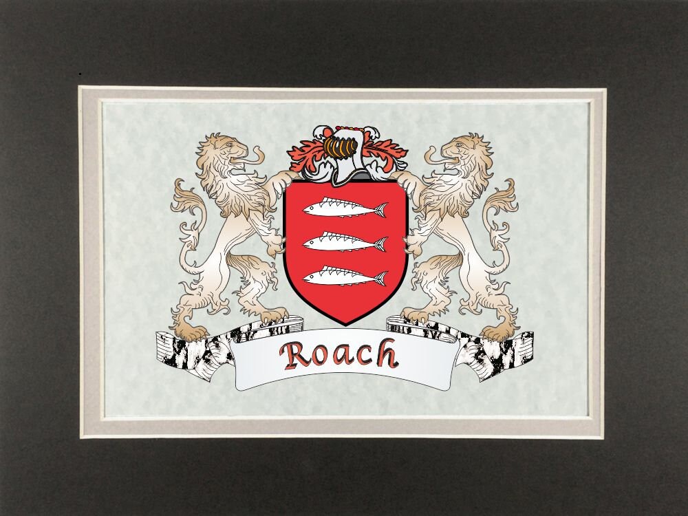 Roach Irish Coat of Arms Print Frameable 9 X 12 - Etsy