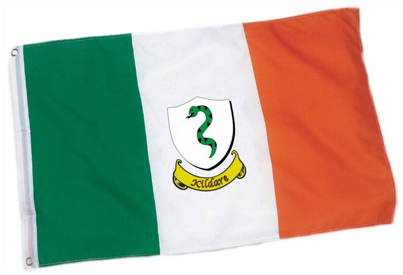 Kildare County Coat of Arms Ireland Flag - 3'x5' Foot - Etsy