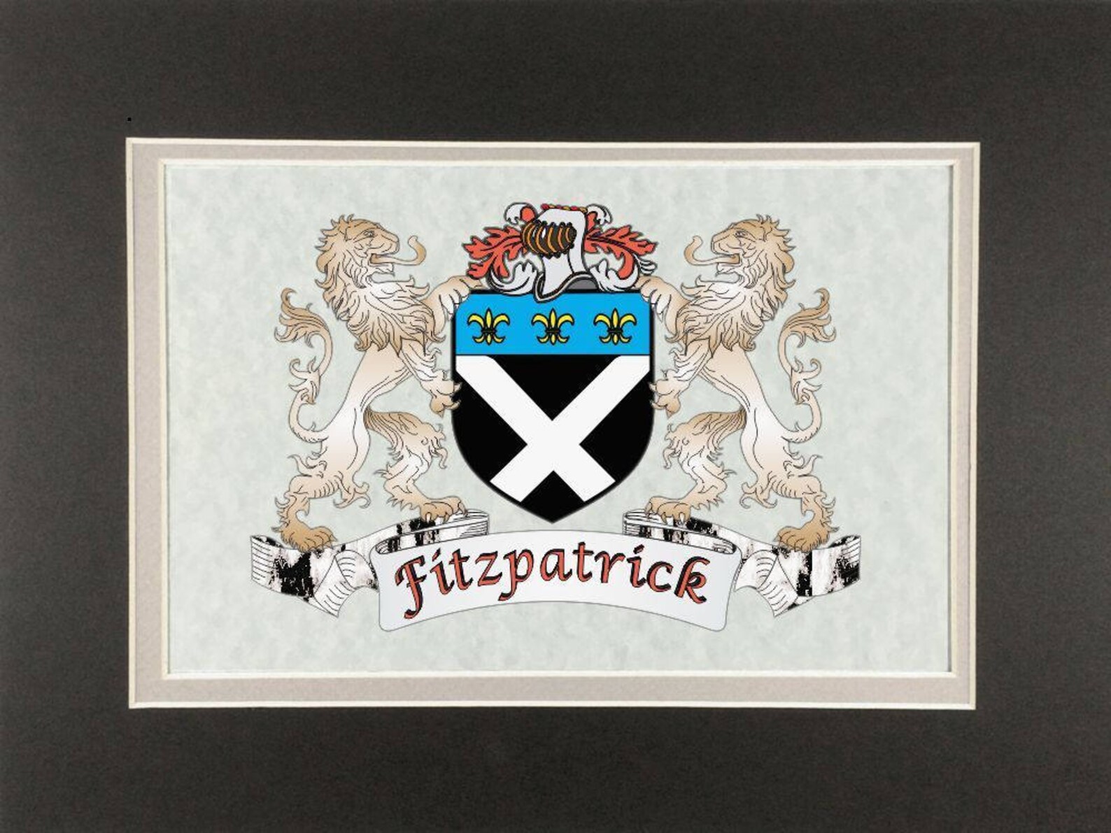 Fitzpatrick Irish Coat of Arms Print Frameable 9 X - Etsy