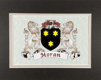 Ahearn Irish Coat of Arms Ireland Flag 3'x5' Foot - Etsy