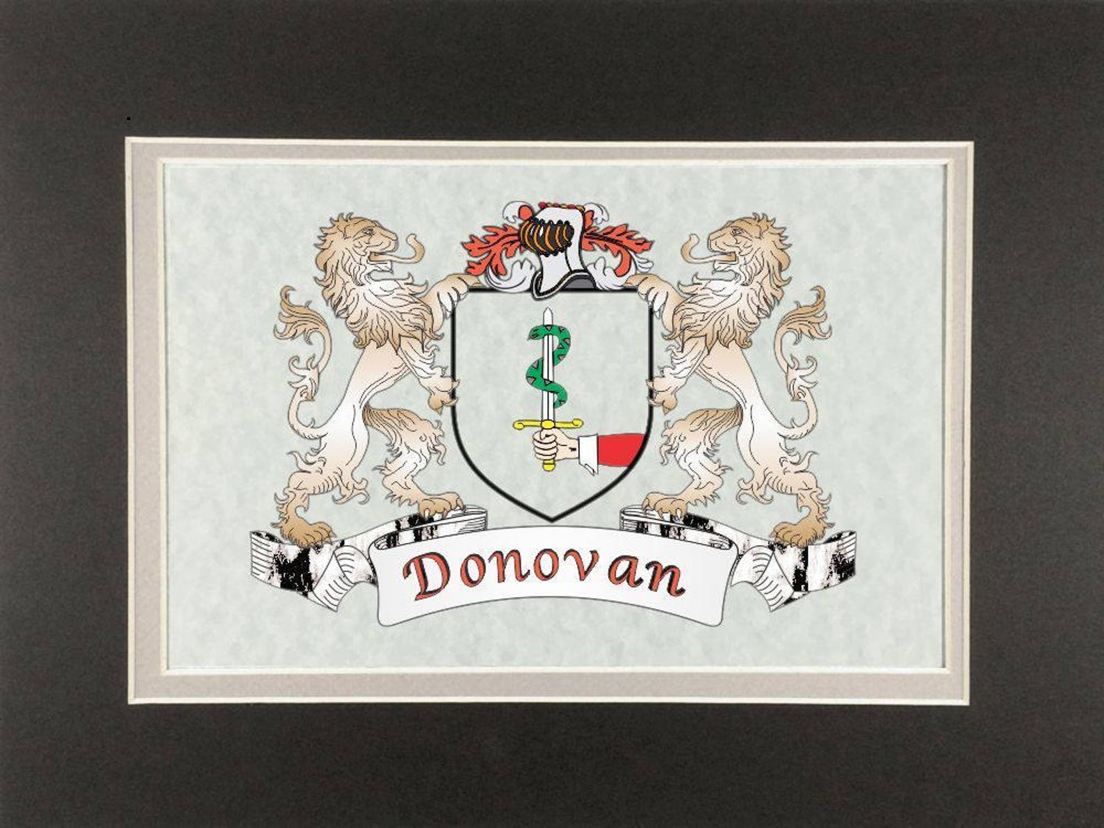 Donovan Irish Coat of Arms Print Frameable 9 x | Etsy