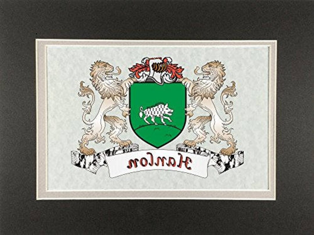 Hanlon Irish Coat of Arms Print - Frameable 9" X 12" - Etsy