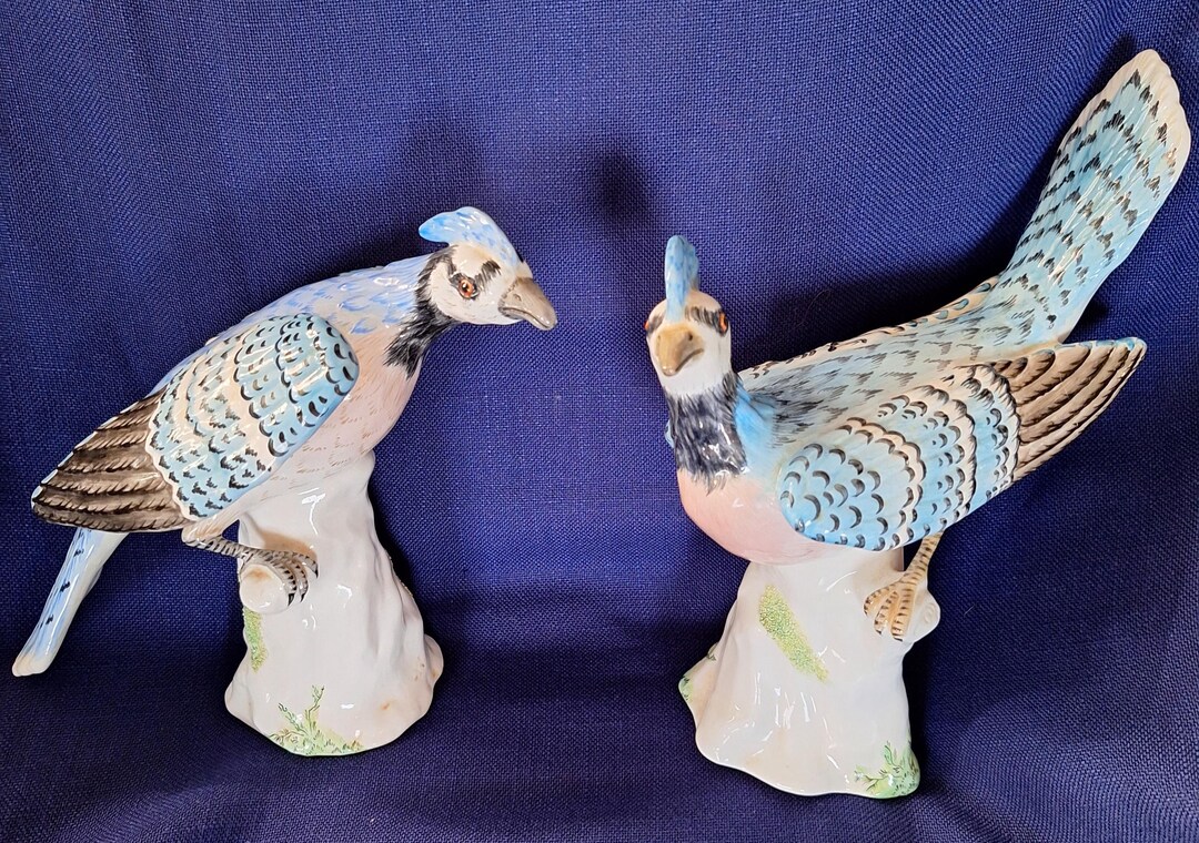 Rare Staffordshire Pair of Beautiful Fine Bone China Blue Jays. Signed ...