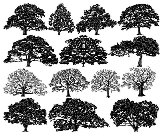 Oak Trees-dxf Files and SVG Cut Ready for Cnc Machines Laser - Etsy