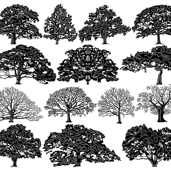 Oak Tree Svg - Etsy