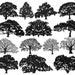 Oak Trees-dxf Files and SVG Cut Ready for Cnc Machines, Laser Cutting ...